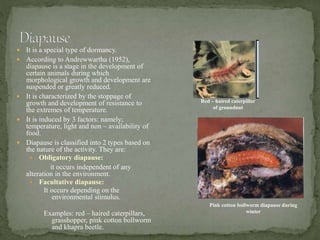 Adaptations of Plants and Animals to extreme temperatures | PPTX