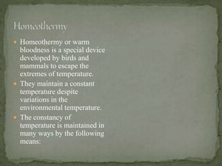 Adaptations of Plants and Animals to extreme temperatures | PPTX