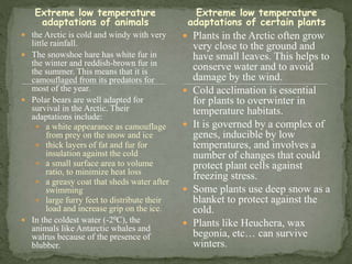Adaptations of Plants and Animals to extreme temperatures | PPTX