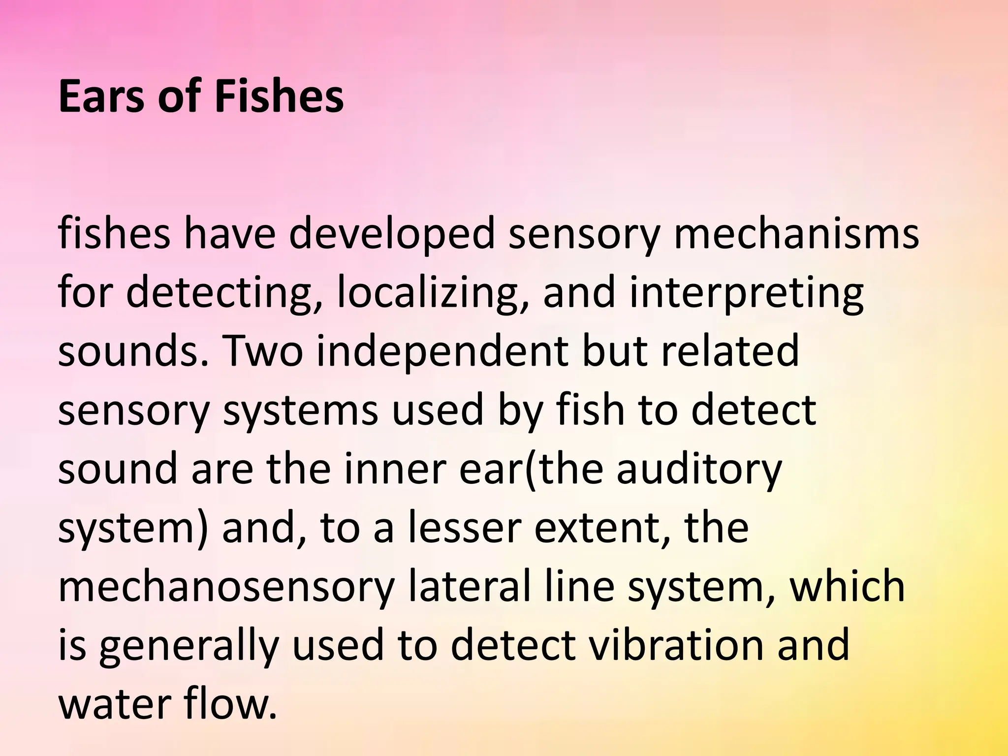 Sensory Organs comparative study in vertebrates. | PPTX