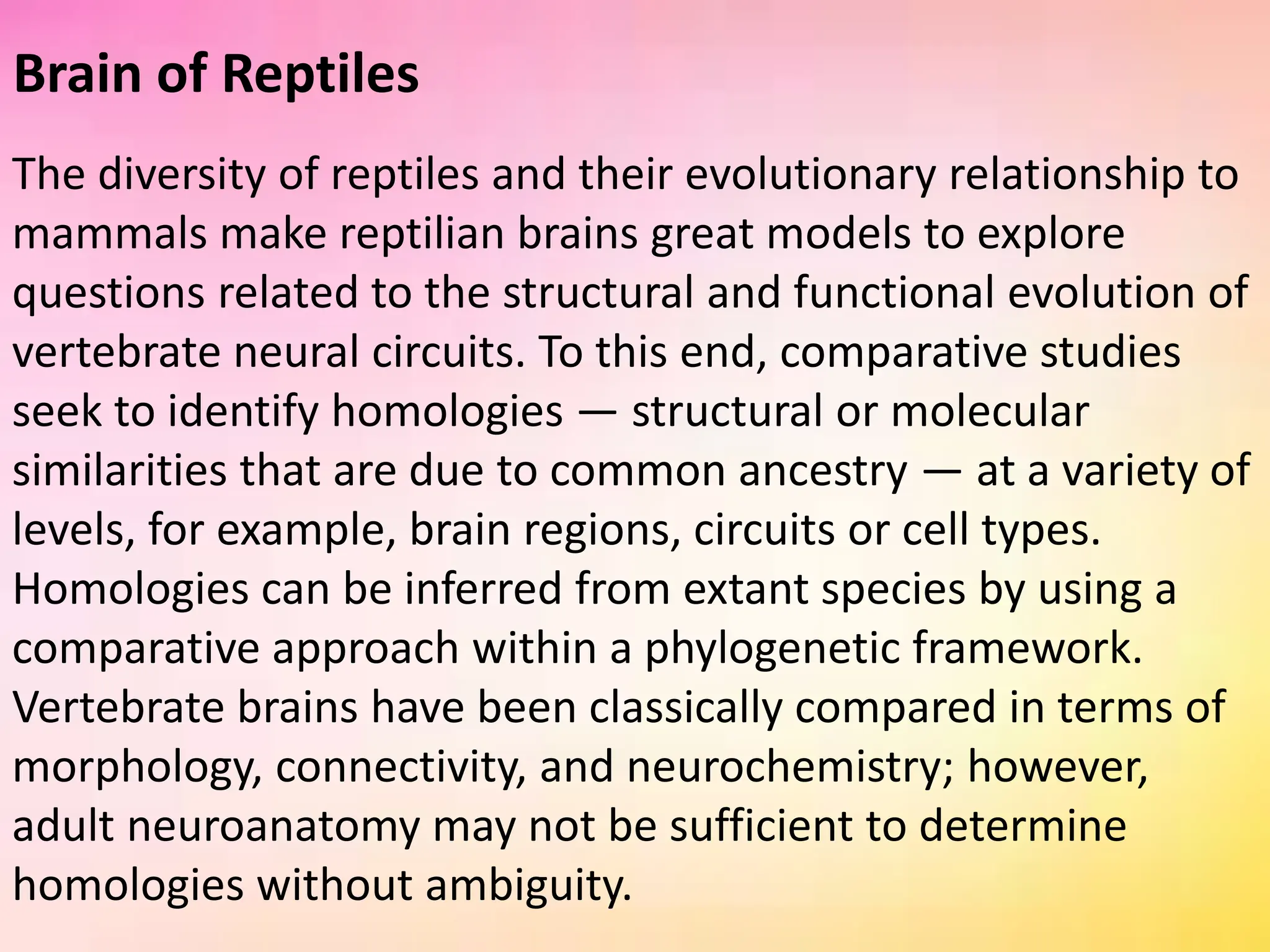 Sensory Organs comparative study in vertebrates. | PPTX