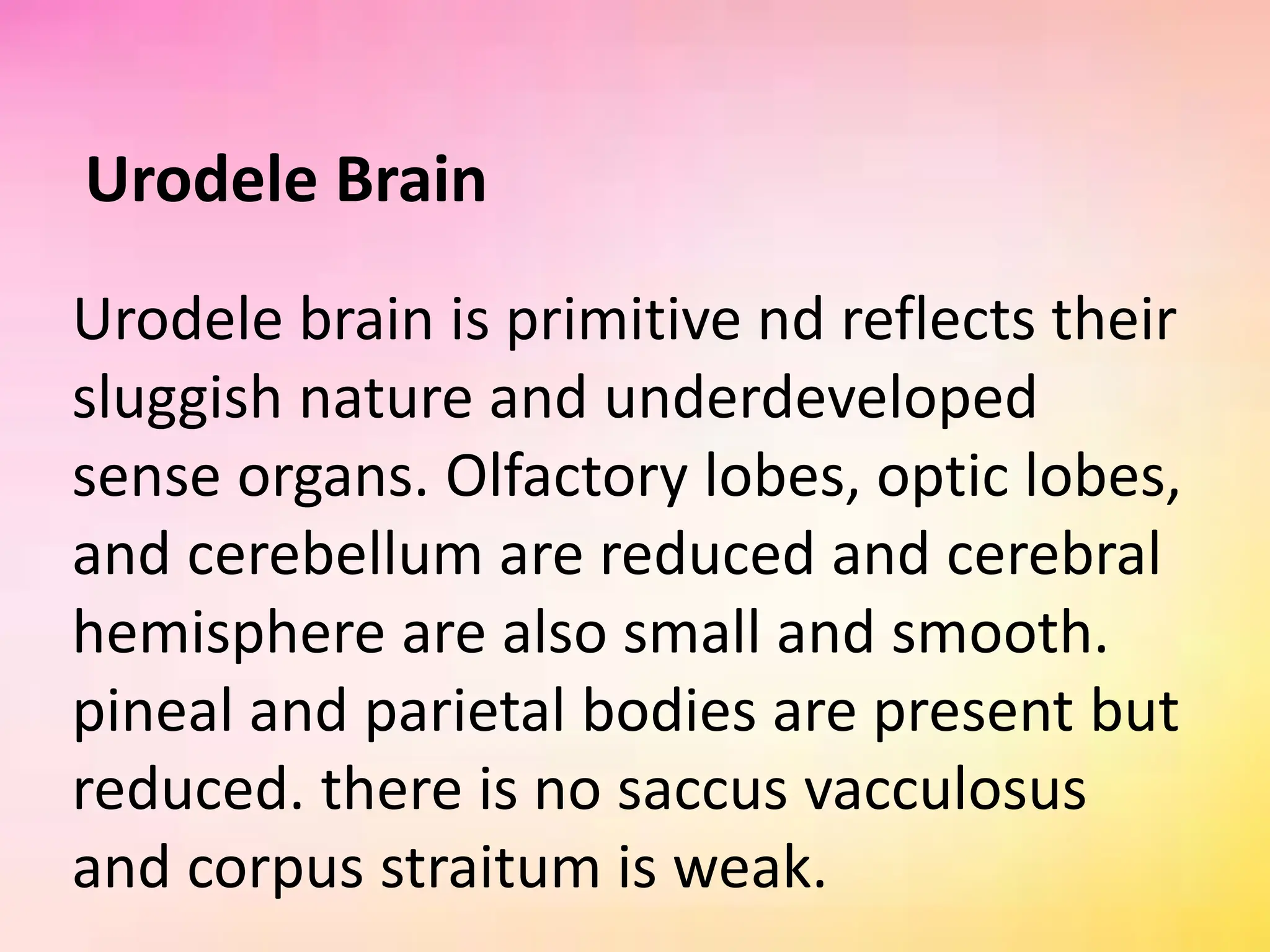 Sensory Organs comparative study in vertebrates. | PPTX