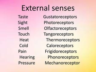 Sensory Organs comparative study in vertebrates. | PPTX