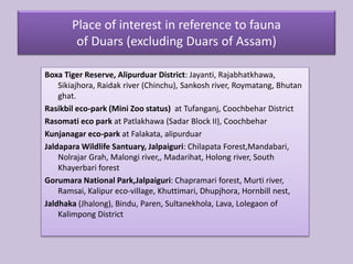 Zoology Series VIII a (81 slides) | PPT