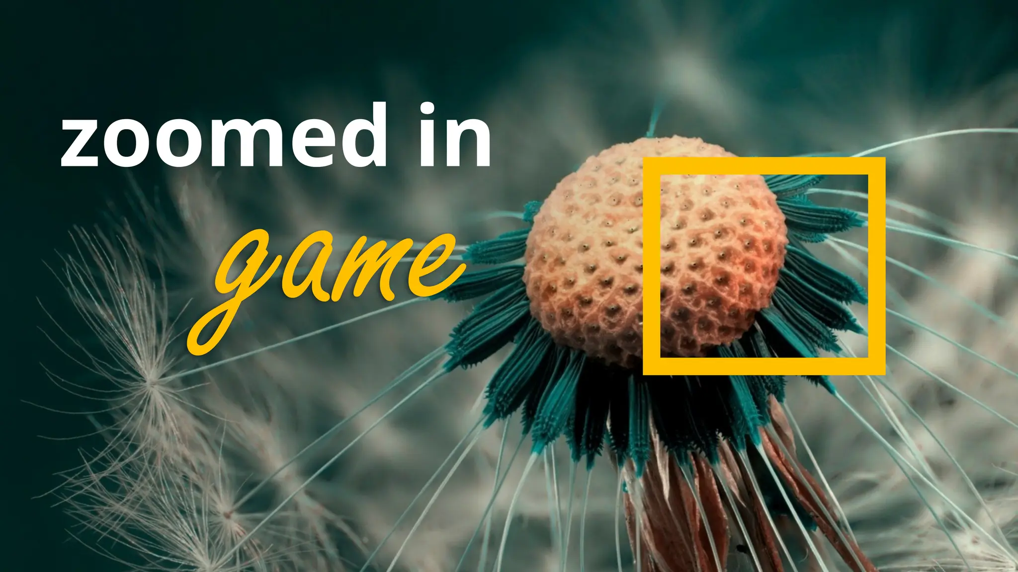 Zoom Game for Class Icebreaker Material 1 | PPT