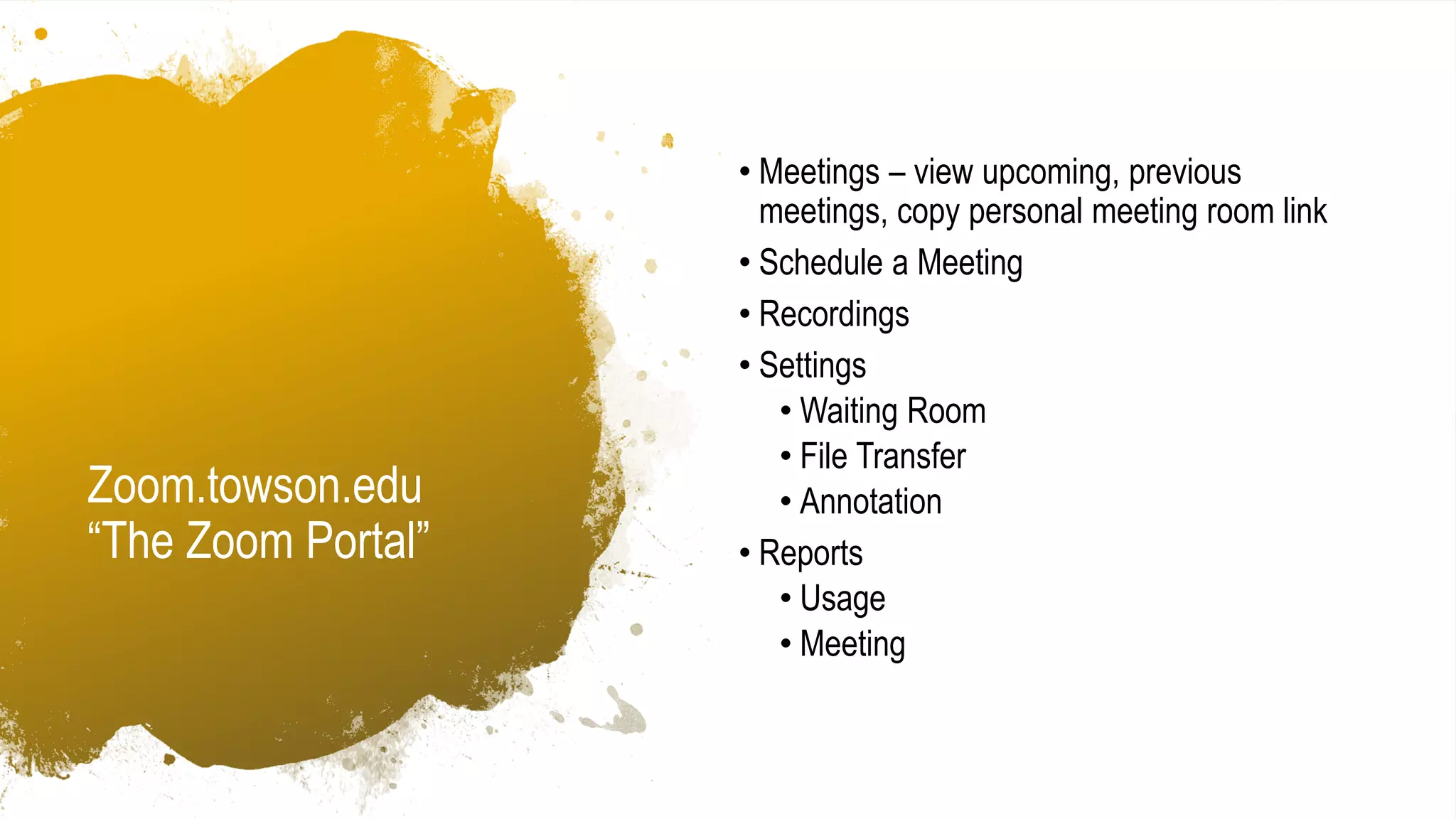 zoom-presentation.pptx