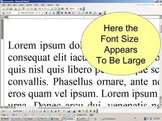 Zoom Vs. Font Size | PPT