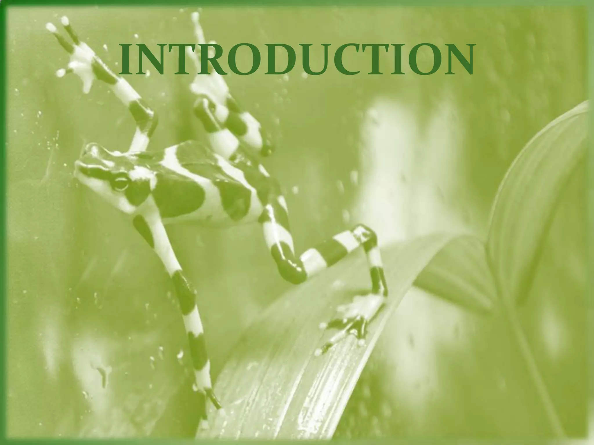 Zoo management system | PPTX