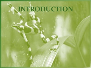 Zoo management system | PPTX