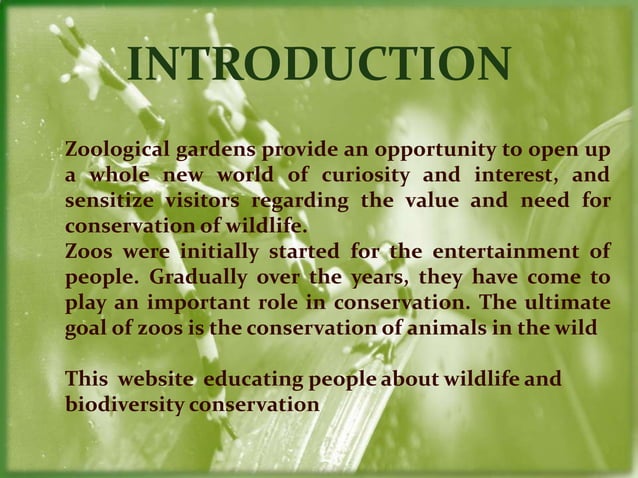 Zoo management system | PPTX