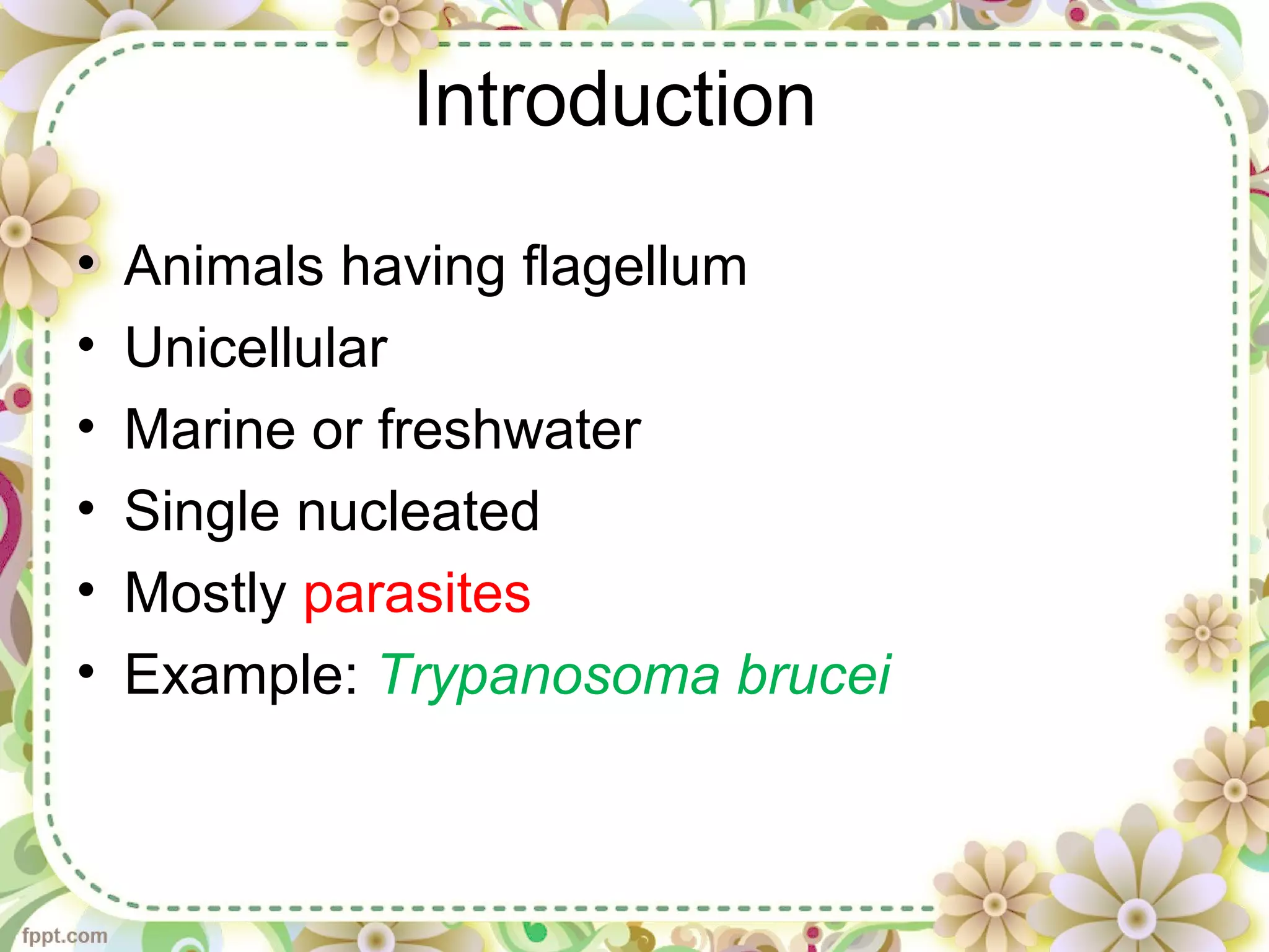 classification of Protozoa | PPT