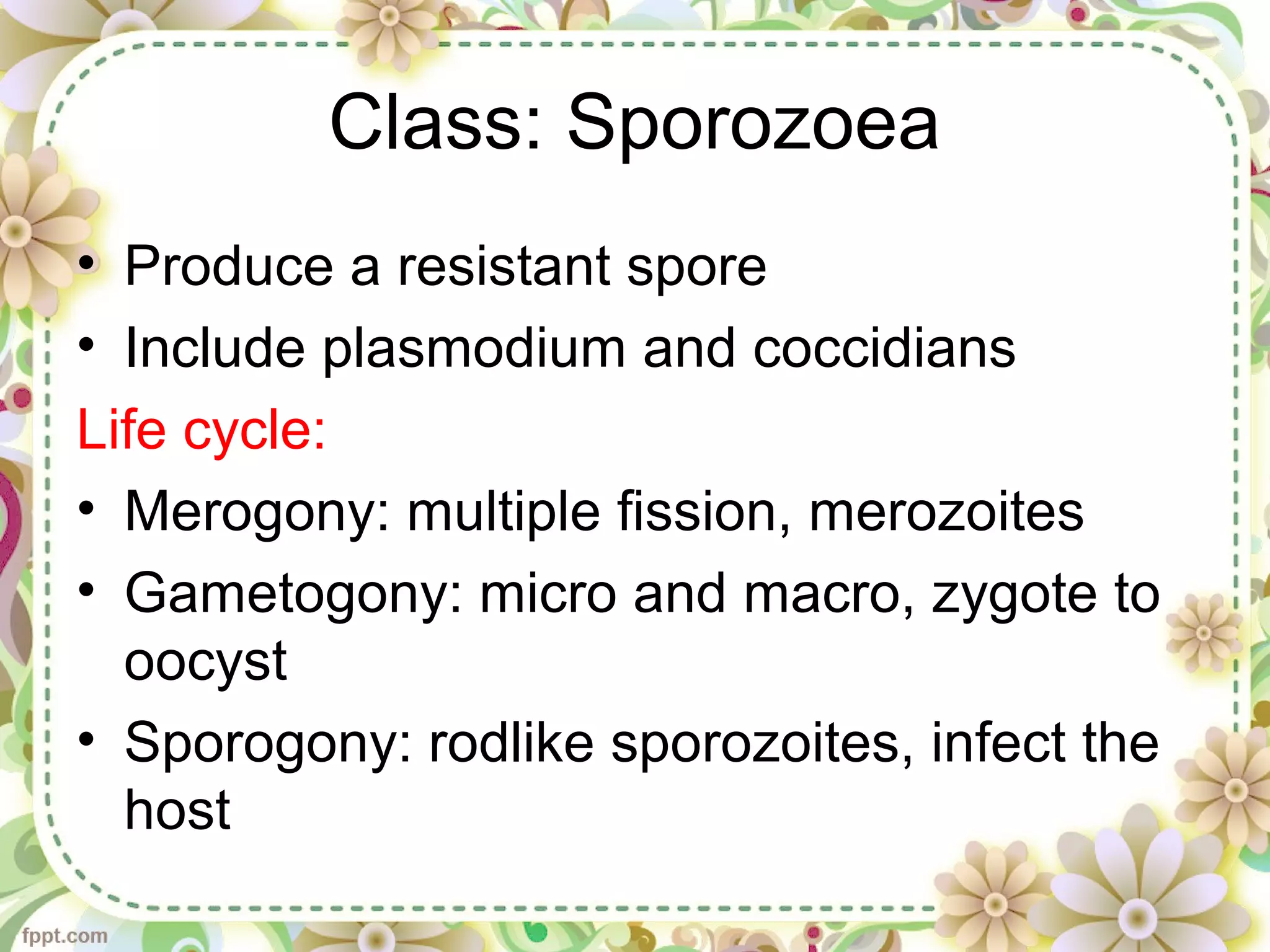 classification of Protozoa | PPT