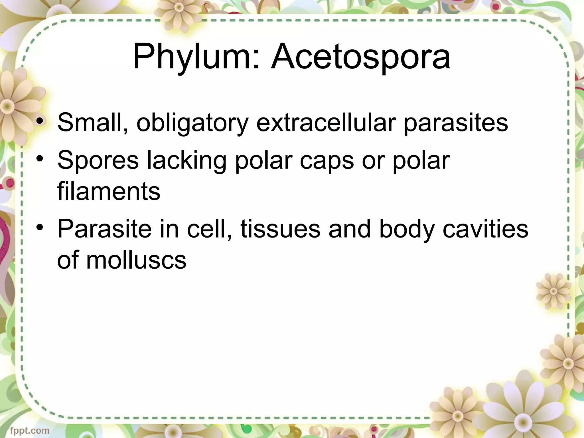 classification of Protozoa | PPT