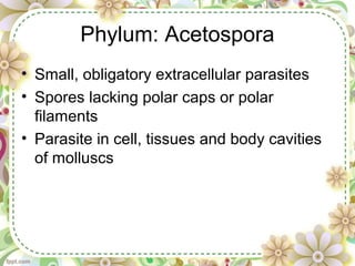 classification of Protozoa | PPT