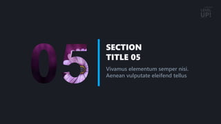 Zoom basic functions - final.pptx | Desktop Publishing | Computer ...