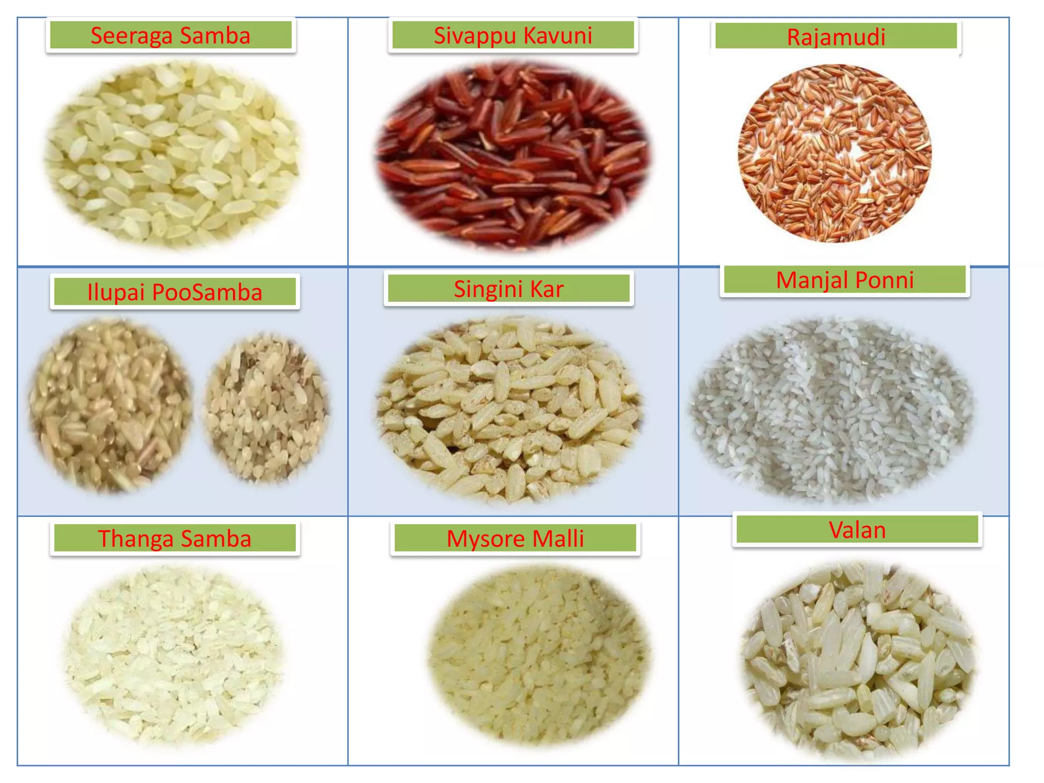 Zoom conference on traditional paddy varieties and benefit by s.kannan ...