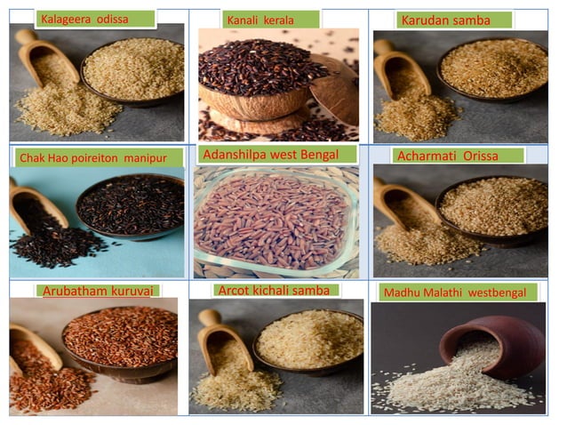 Zoom conference on traditional paddy varieties and benefit by s.kannan ...