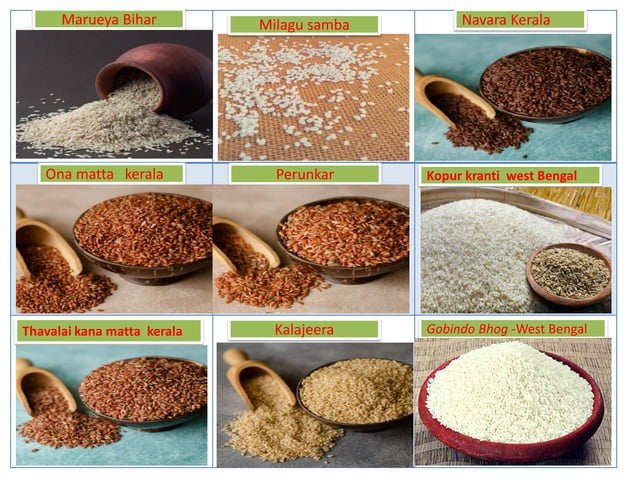 Zoom conference on traditional paddy varieties and benefit by s.kannan ...