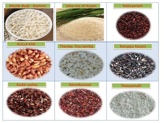 Zoom conference on traditional paddy varieties and benefit by s.kannan ...