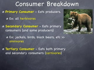 Consumers | KEY