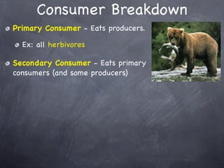 Consumers | PPT