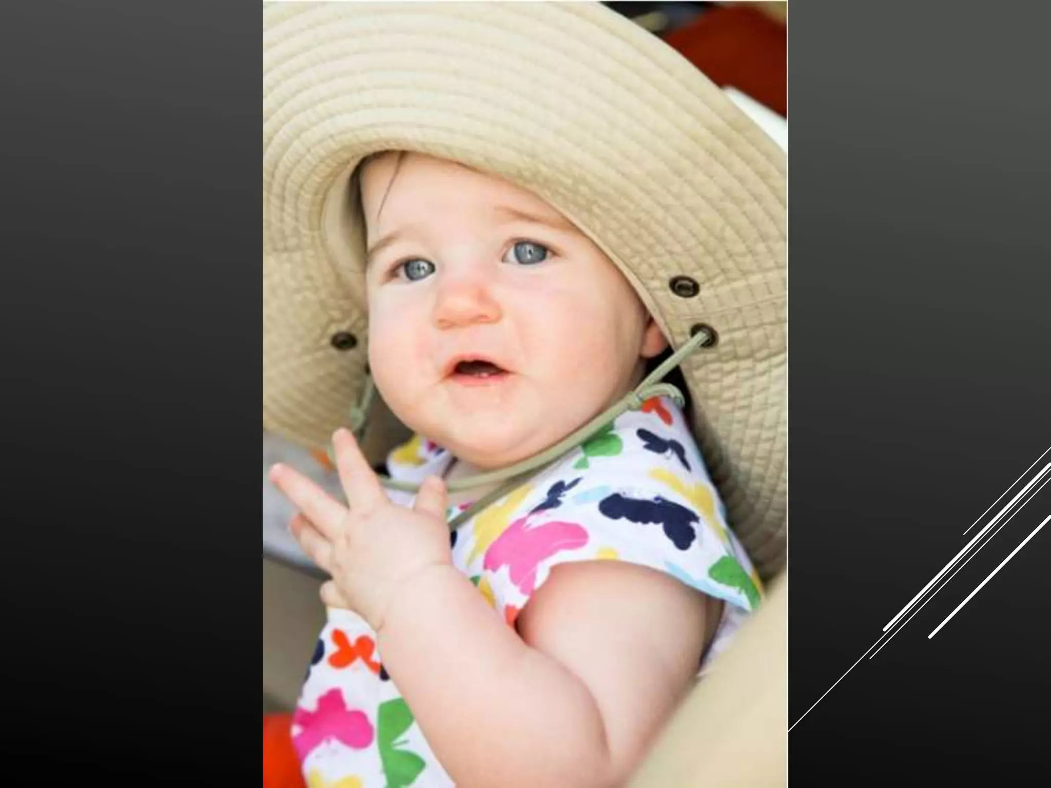 Photographic Composition- Zoom and Crop | PPT