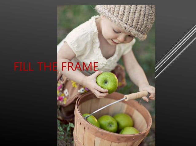 Photographic Composition- Zoom and Crop | PPT