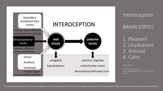 Introduction to Emotional Intelligence & Assertiveness | PPT
