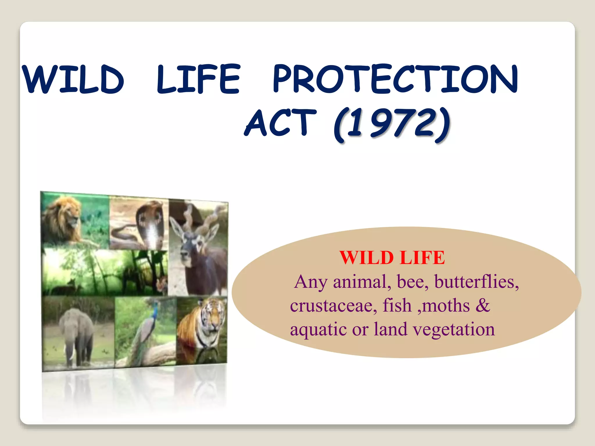 wild life protection act | PPT