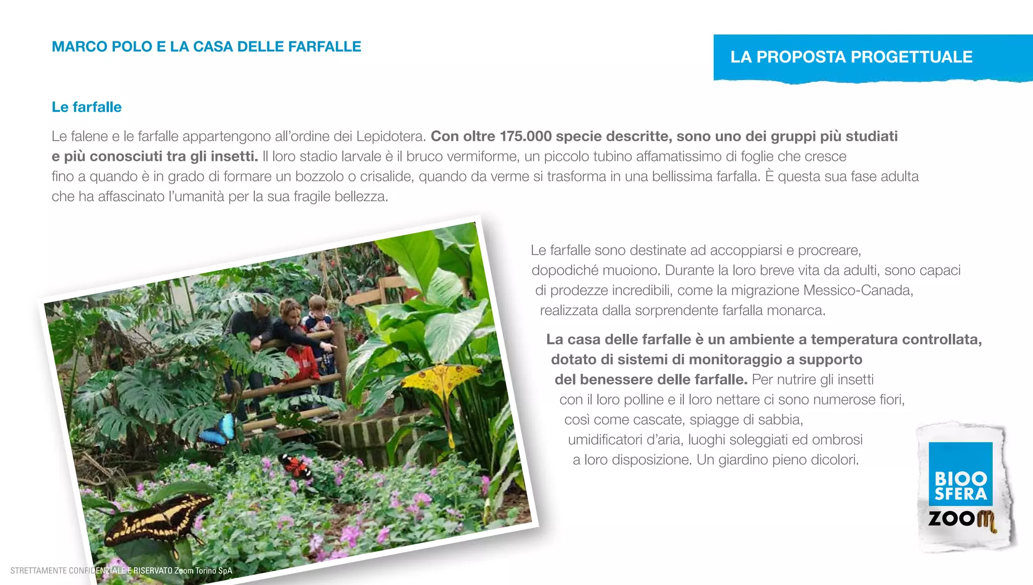 Progetto Zoom City Parco Michelotti Torino | PDF