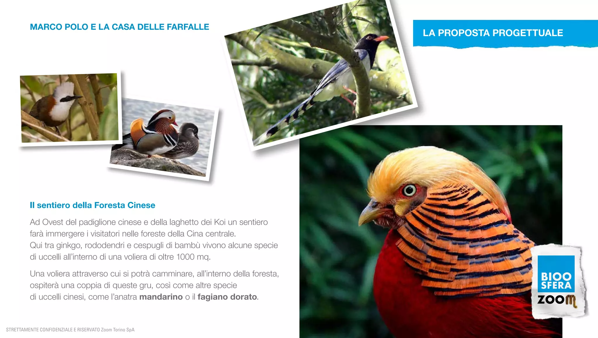 Progetto Zoom City Parco Michelotti Torino | PDF