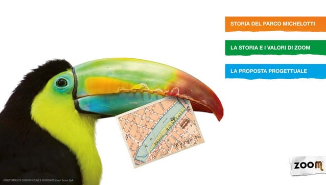 Progetto Zoom City Parco Michelotti Torino | PDF | Landscaping | Home & Garden