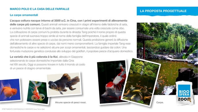 Progetto Zoom City Parco Michelotti Torino | PDF | Landscaping | Home & Garden