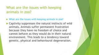 Zoo animals | PPTX