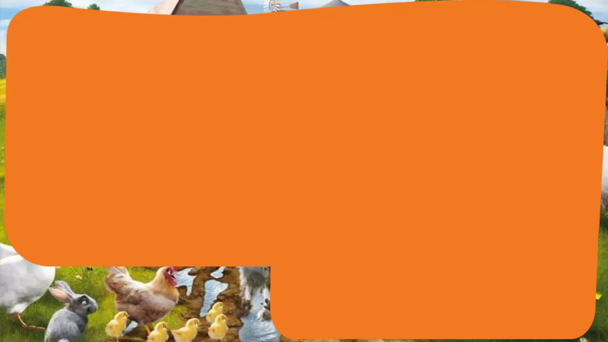 Zoom in farm animals | PPTX