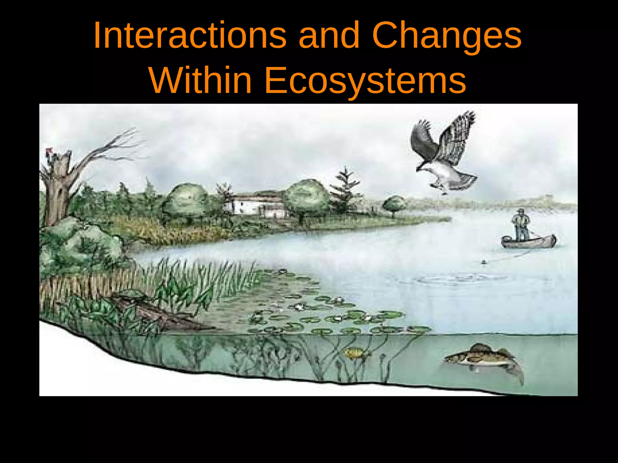 Interactions within ecosystems | PPT