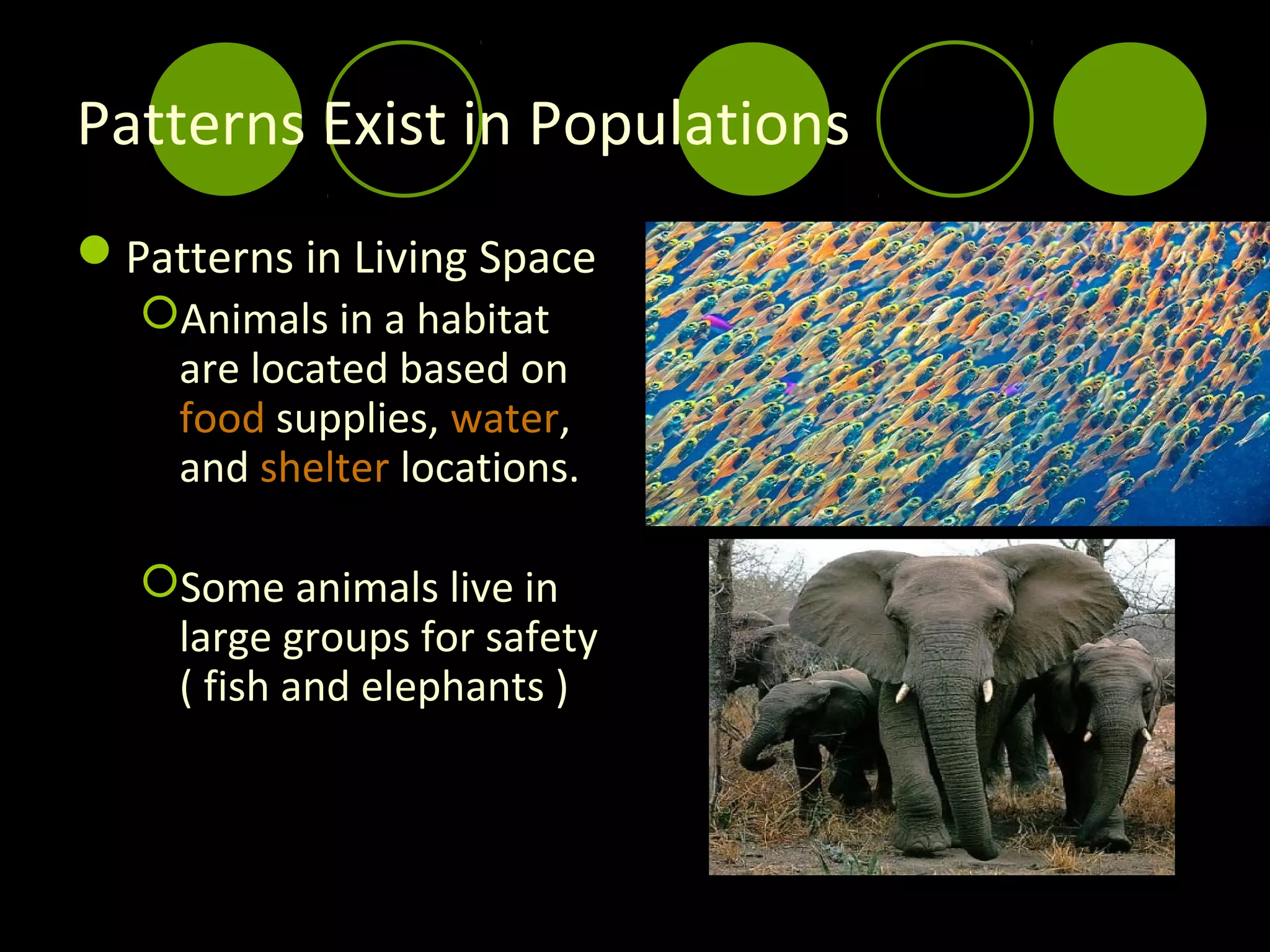 Interactions within ecosystems | PPT