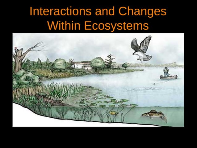 Interactions within ecosystems | PPT | Biological Sciences | Science