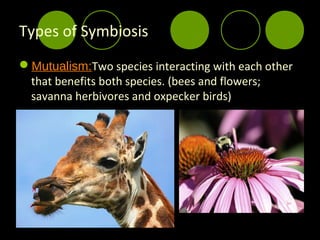 Interactions within ecosystems | PPT