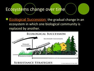 Interactions within ecosystems | PPT