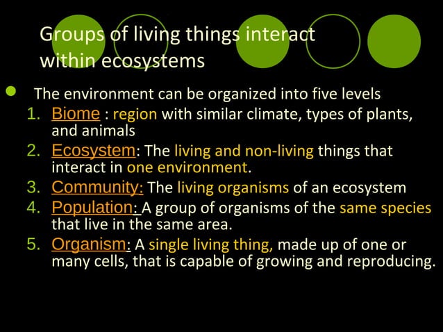 Interactions within ecosystems | PPT