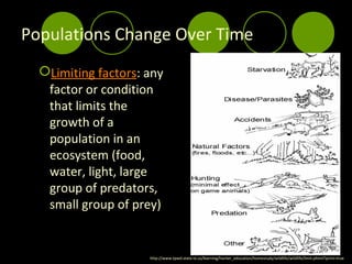 Interactions within ecosystems | PPT