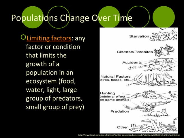 Interactions within ecosystems | PPT | Biological Sciences | Science
