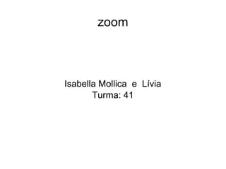 Zoom isabella mollica e lívia | PPT