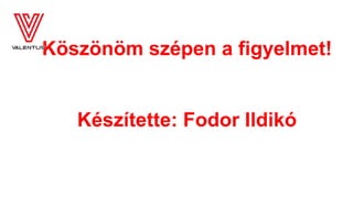 Valentus cég termékei | PPT