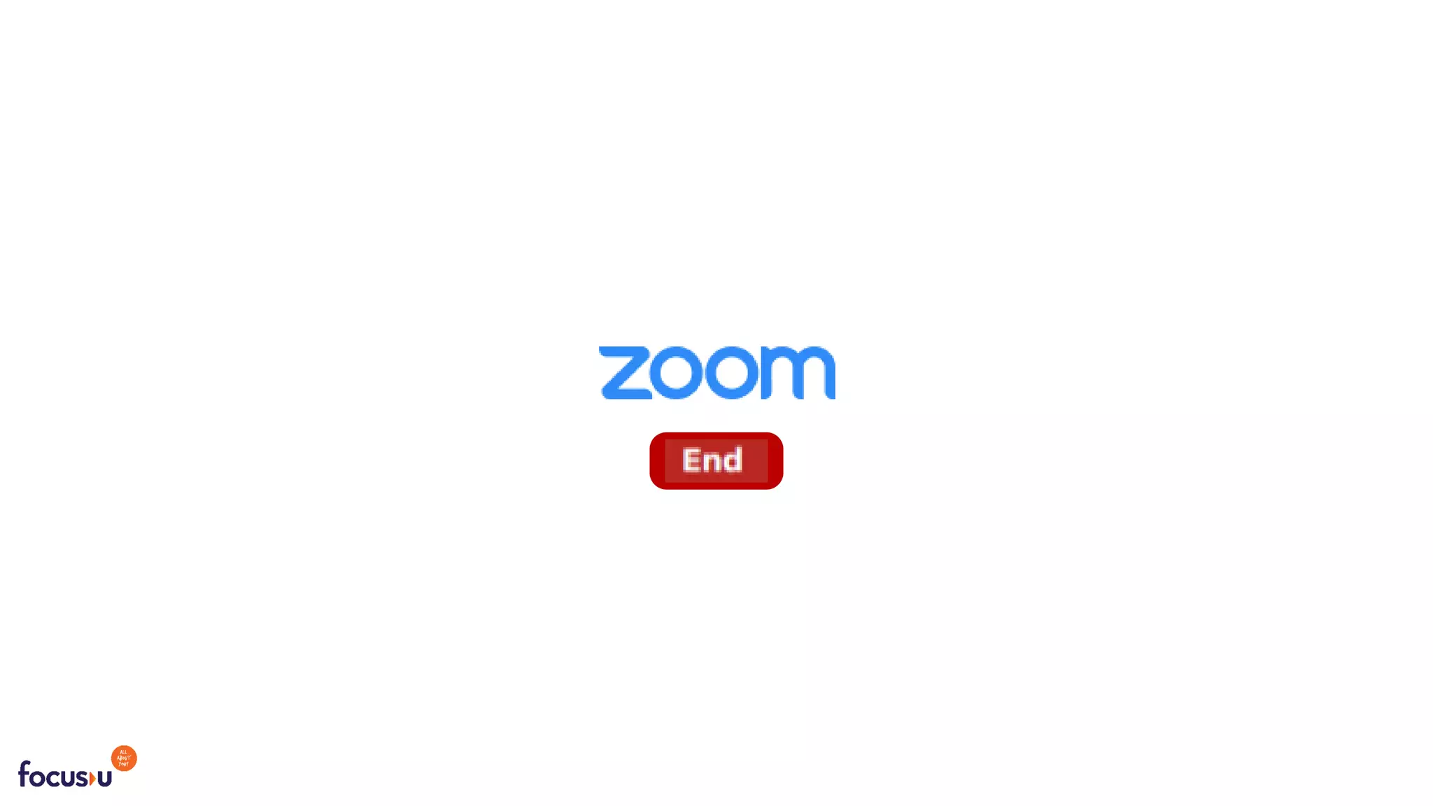 Zoom Tutorial | PDF