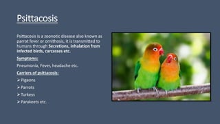 Zoonoses | PPTX