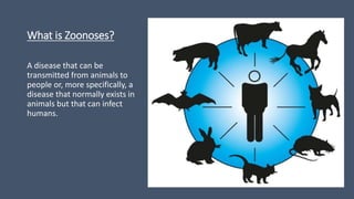 Zoonoses | PPTX