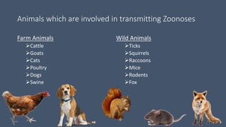 Zoonoses | PPTX
