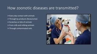 Zoonoses | PPTX